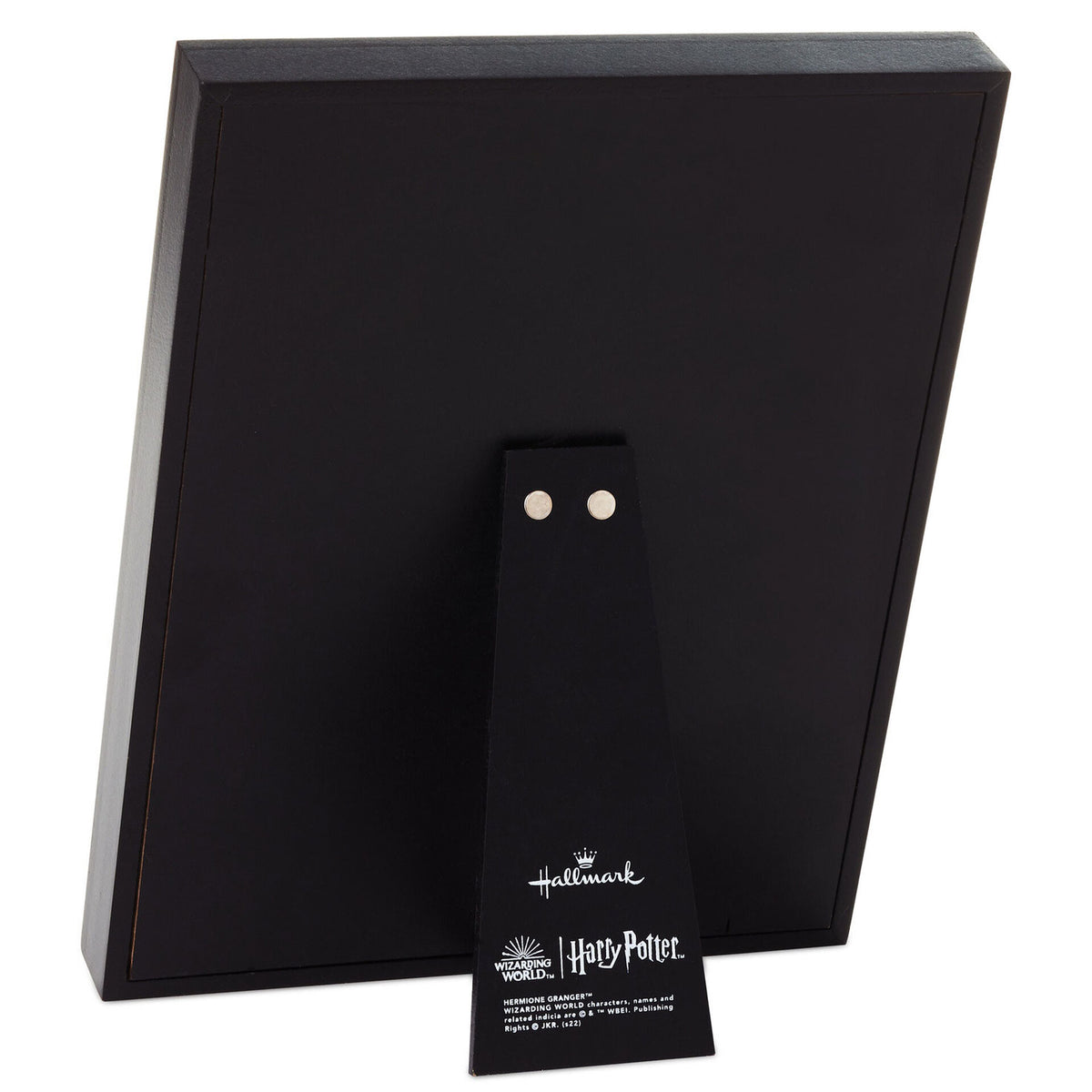 Hallmark Harry Potter™ Friendship and Bravery Hermione Granger™ Framed ...